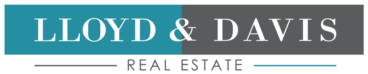 Pause Guitare 2026 à Albi : date, programmation, horaires - Lloyd & Davis